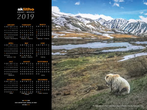 Wild Animals of Alaska Photo Contest Winners are In! - Alaska Litho